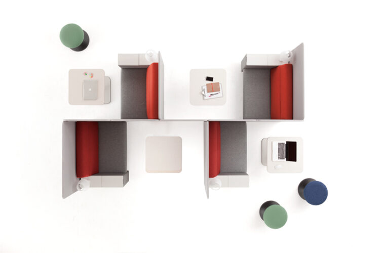 FUNGUS - Fursys VenezuelaFursys Venezuela